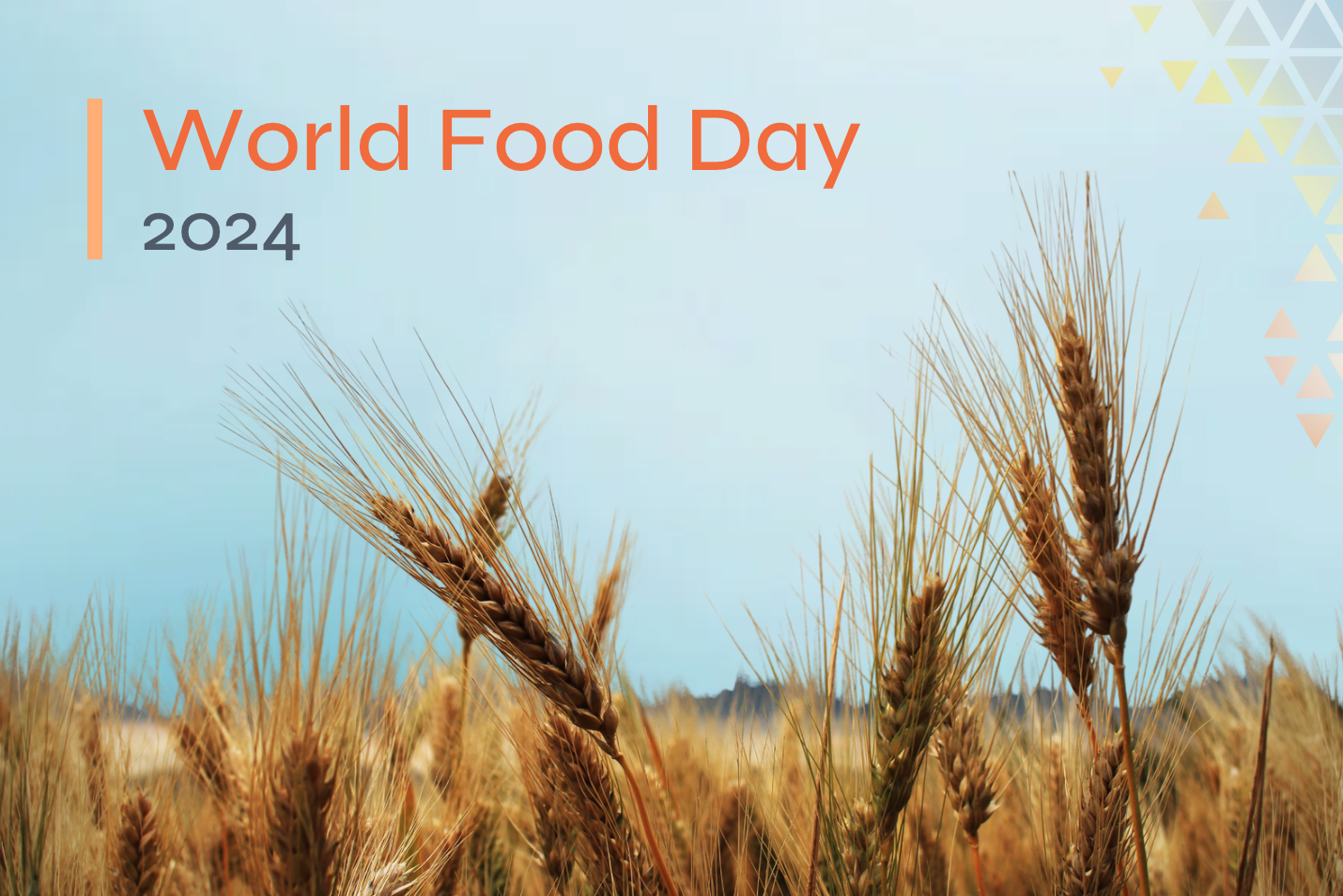 An October Reflection on Food System Sustainability - Inari